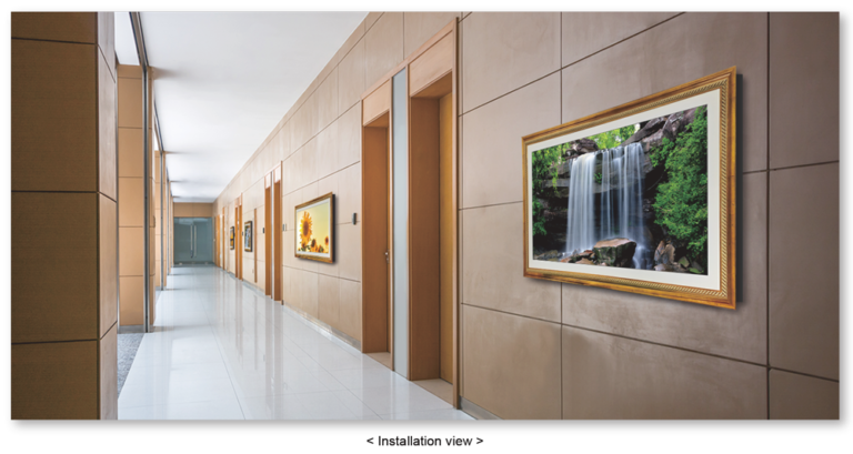 E-CANVAS – NXO – 엔엑스오